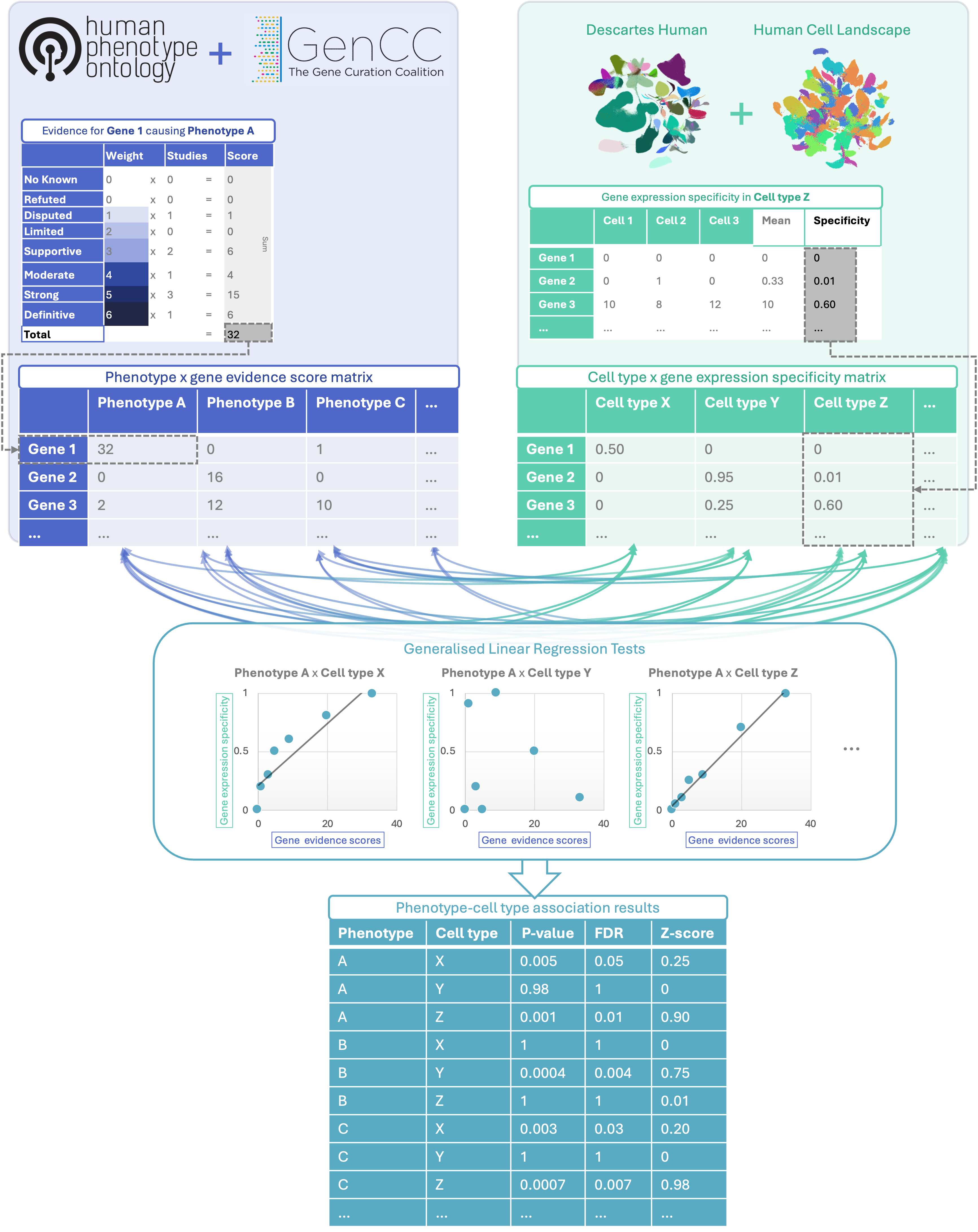 Identification of cell types underlying thousands of rare diseases and subtraits | rare_disease ...